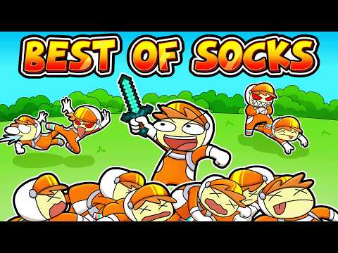best of SOCKS 2024