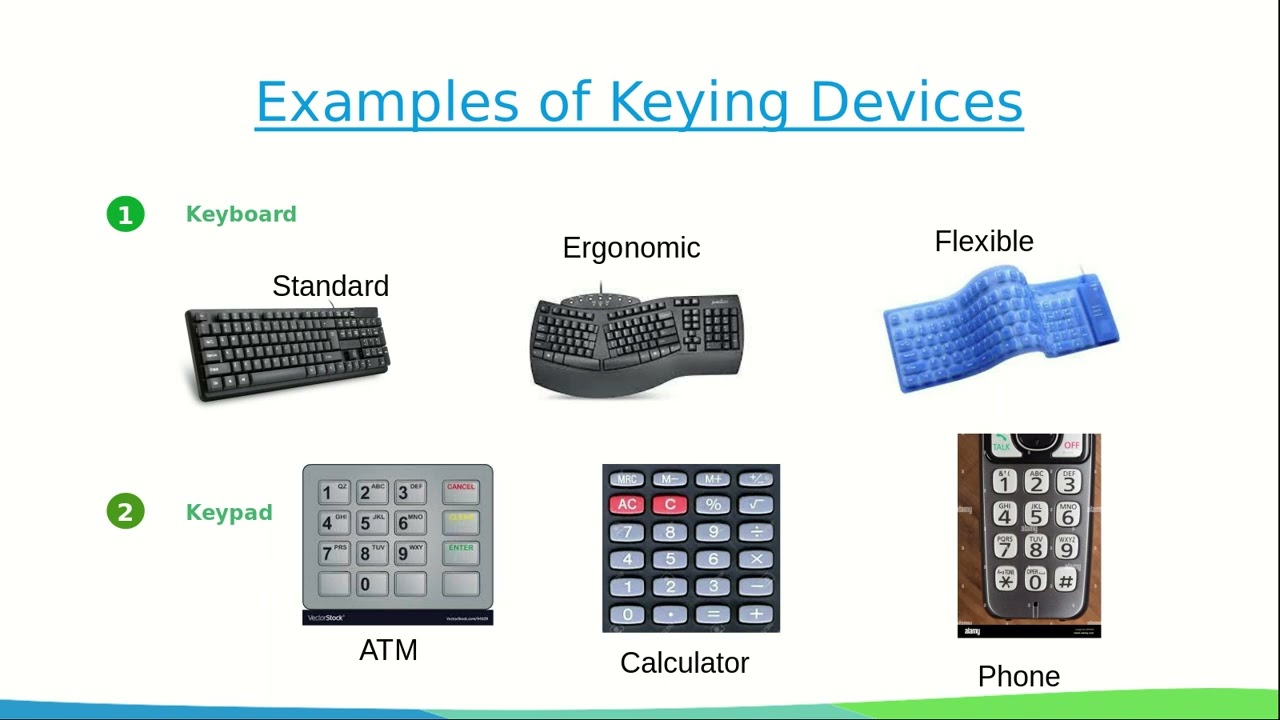 Computer System - Hardware - Input Devices by Omar