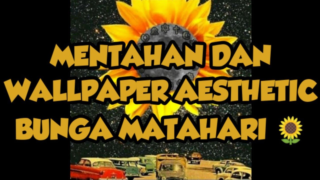 Mentahan Dan Wallpaper Aesthetic Bunga Matahari🌻