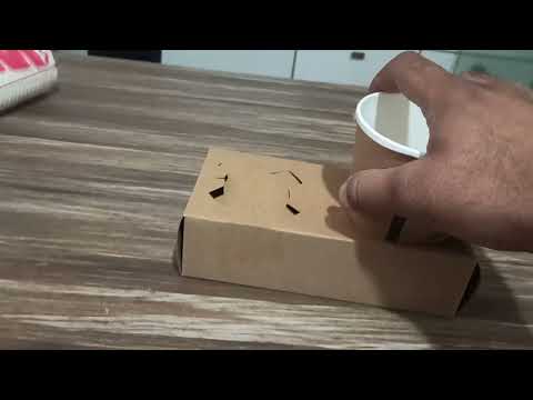 Manufacturer of Paper Cup & Paper Food Take Away Products by R.S.Traders, Vadodara