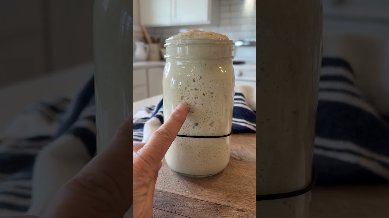 How to know when your sourdough starter is ready to bake with! #sourdoughbread