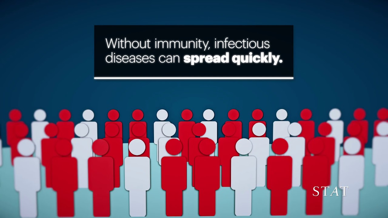 How herd immunity works