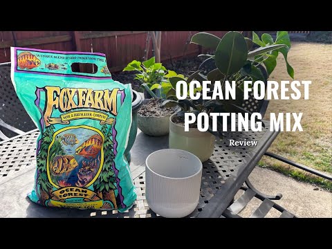 Do Plants Like Fox Farm Ocean Forest Potting Mix?