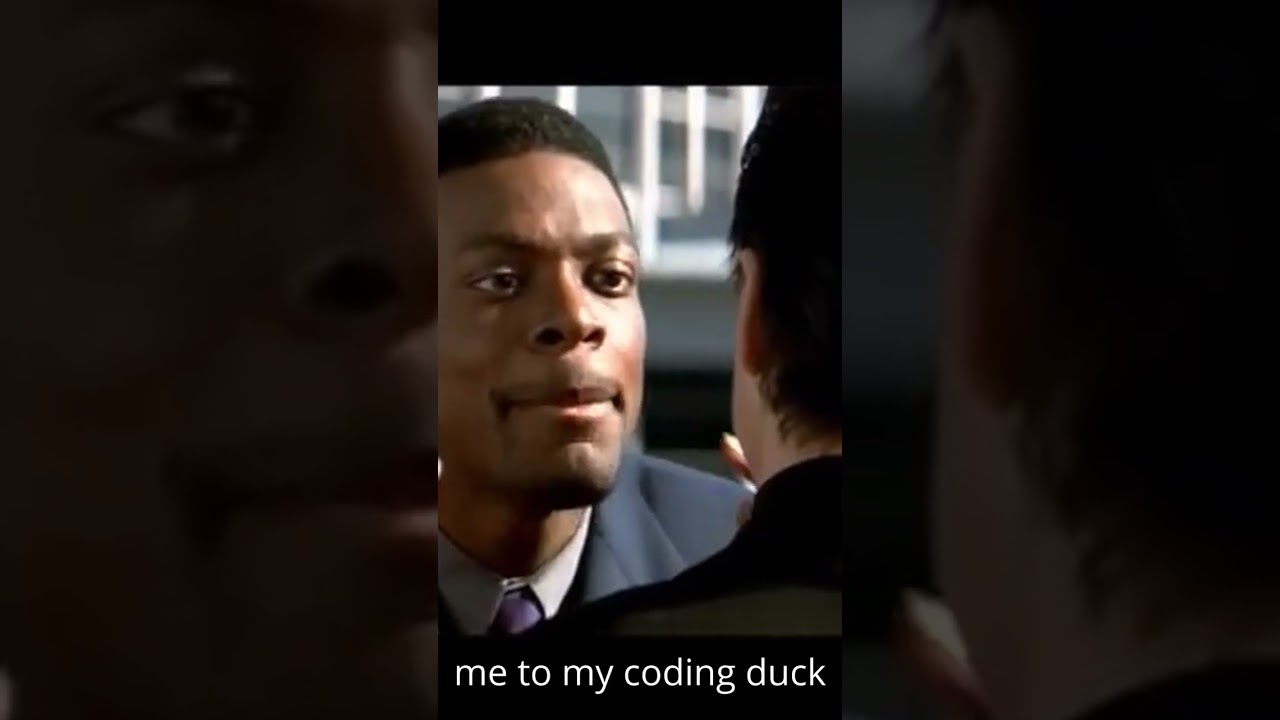 Explaining Code to My Duck Until It Works 💀