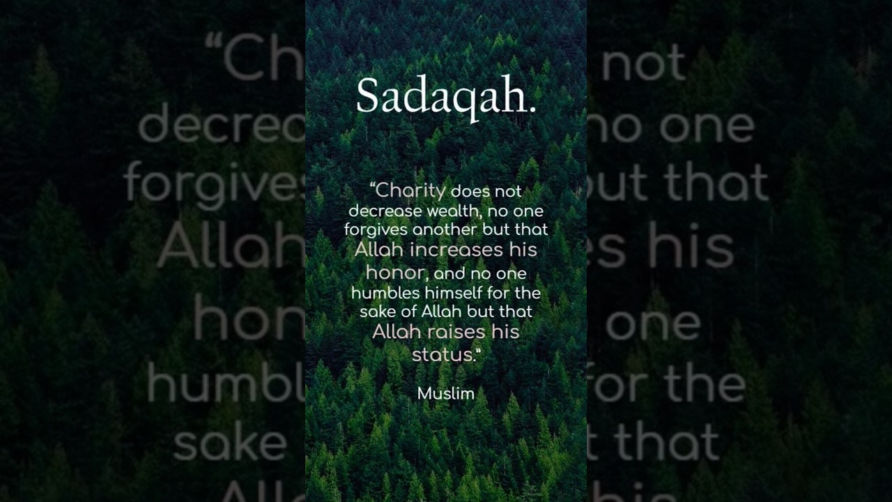 Charity does not decrease wealth  #islamicshorts #shorts #muslim #islamic #reminder