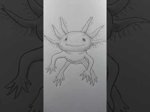 Draw an axolotl. 🦎 Easy drawing lesson for beginners.