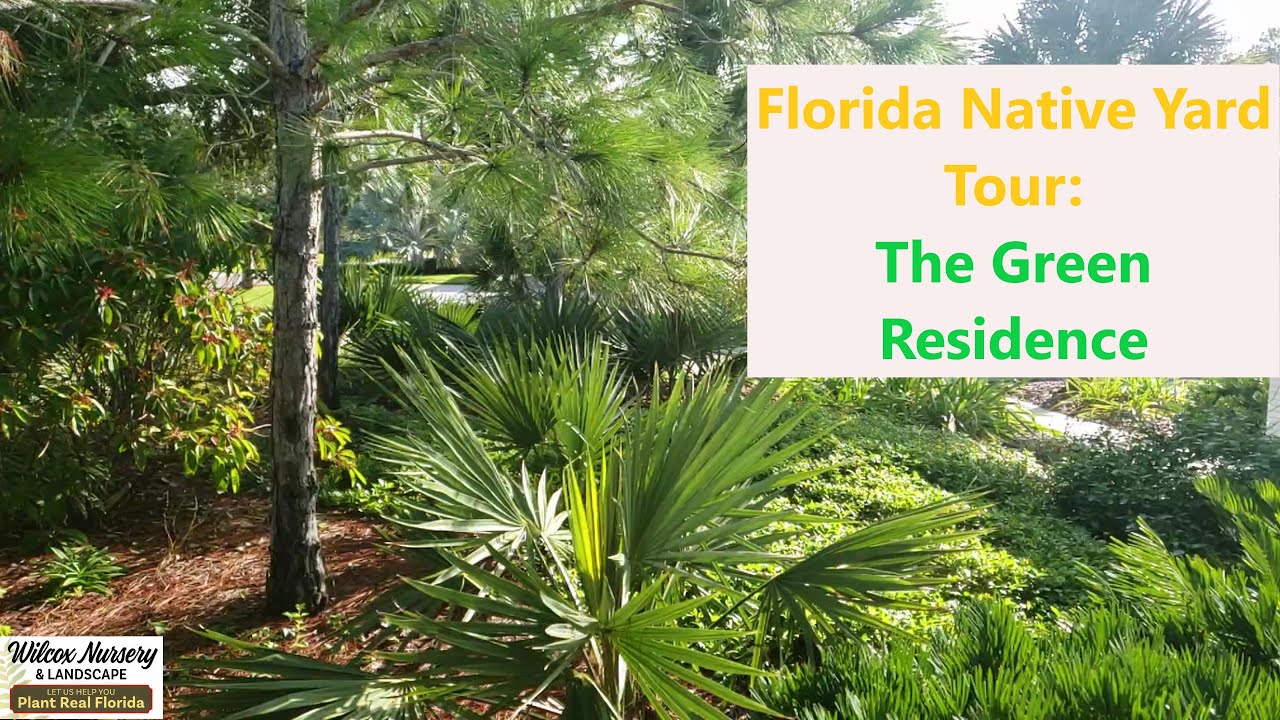 Florida Native Landscape Tour: Drought Tolerant, Low Maintenance Plants in a Coastal Yard!