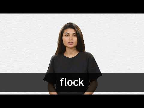FLOCK definition in American English | Collins English Dictionary