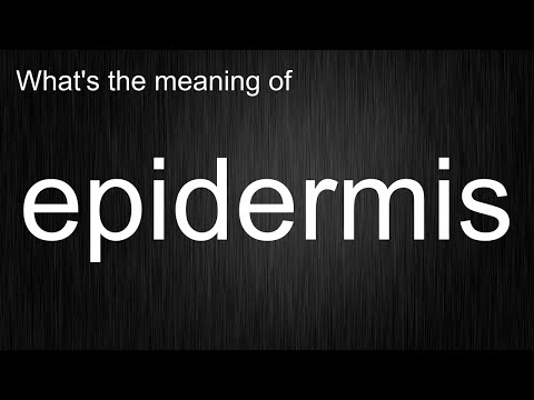 What's the meaning of "epidermis", How to pronounce epidermis?
