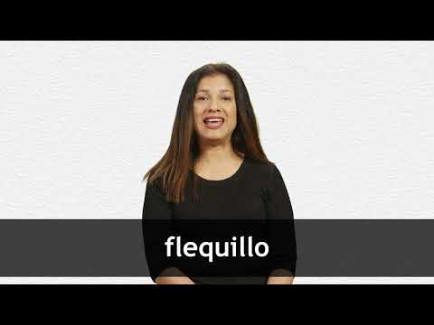 Traducción en inglés de “FLEQUILLO” | Collins Diccionario español-inglés