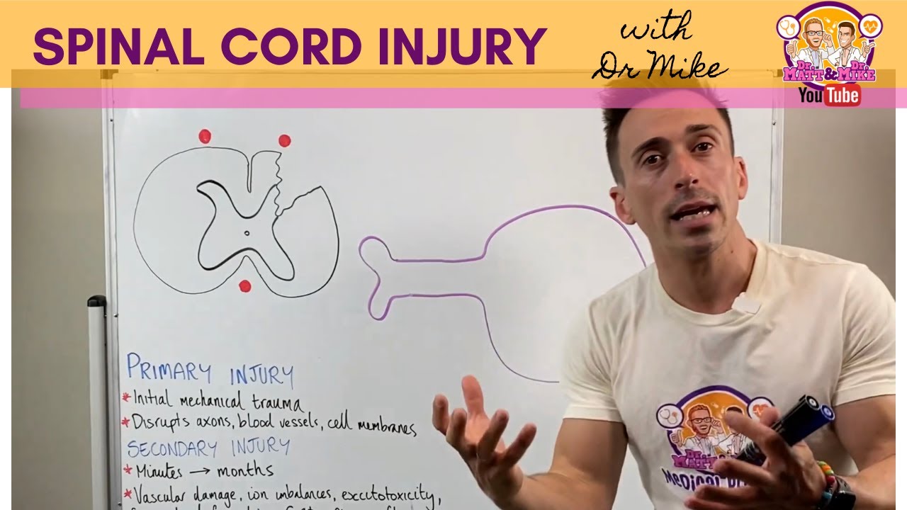 Spinal Cord Injury | What happens in the spinal cord after injury?