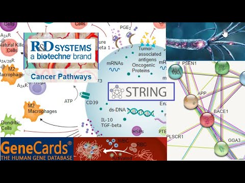 Identify Pathways & Diseases associated with Receptors/Targets