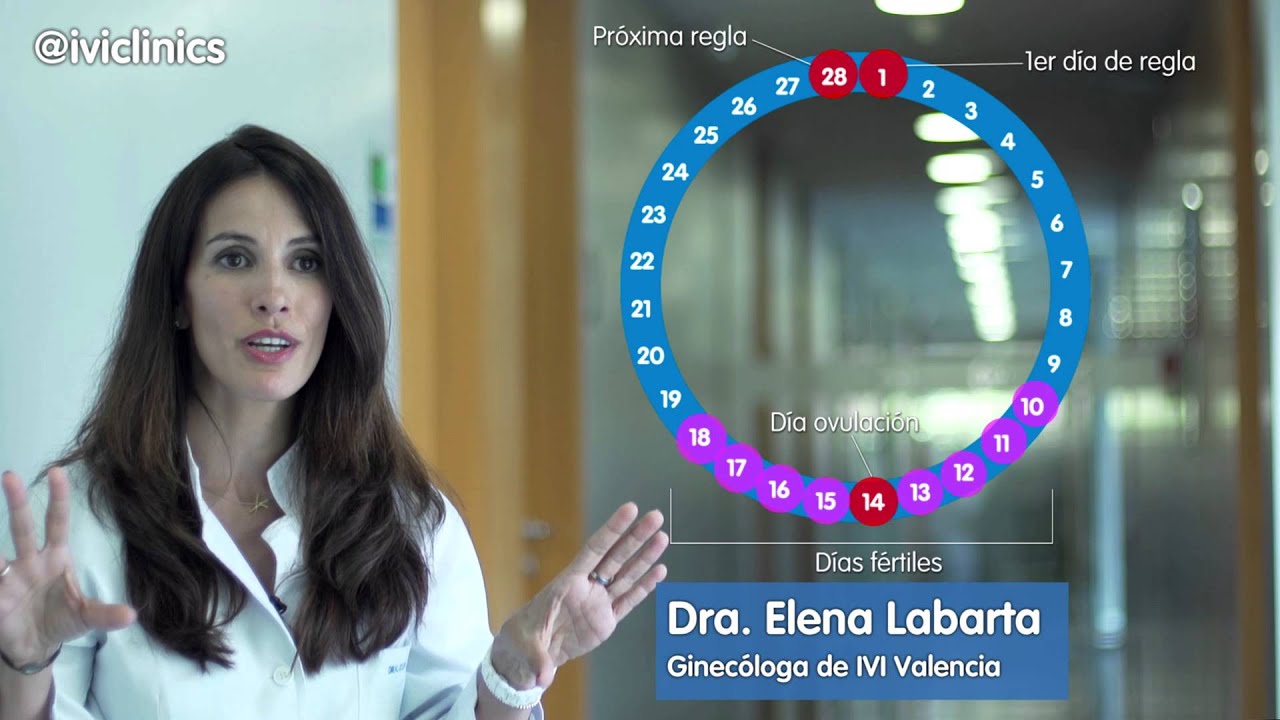 IVI - ¿Cómo puedes calcular tus días fértiles?
