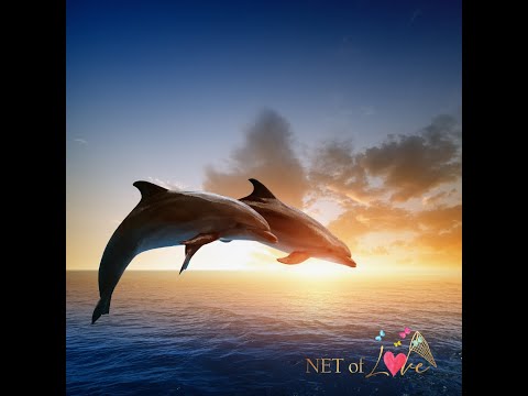A lovely conversation with Amanda Hoover of Net of Love – Love's Beginning