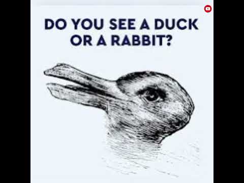 What do you see in this image