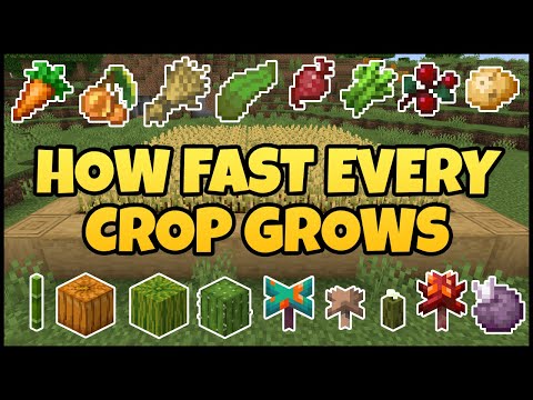 How Fast Every Crop Grows In MINECRAFT
