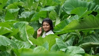 Kayal streaming: where to watch movie online?