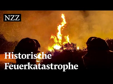 Waldbrände an der US-Westküste erreichen historisches Ausmass | NZZ