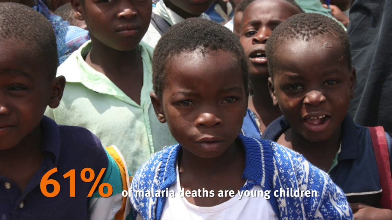 World Malaria Day: Treatment