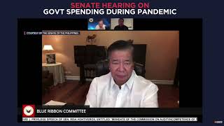 Senate panel to arrest Rose Nono Lin, 4 other Pharmally-linked execs