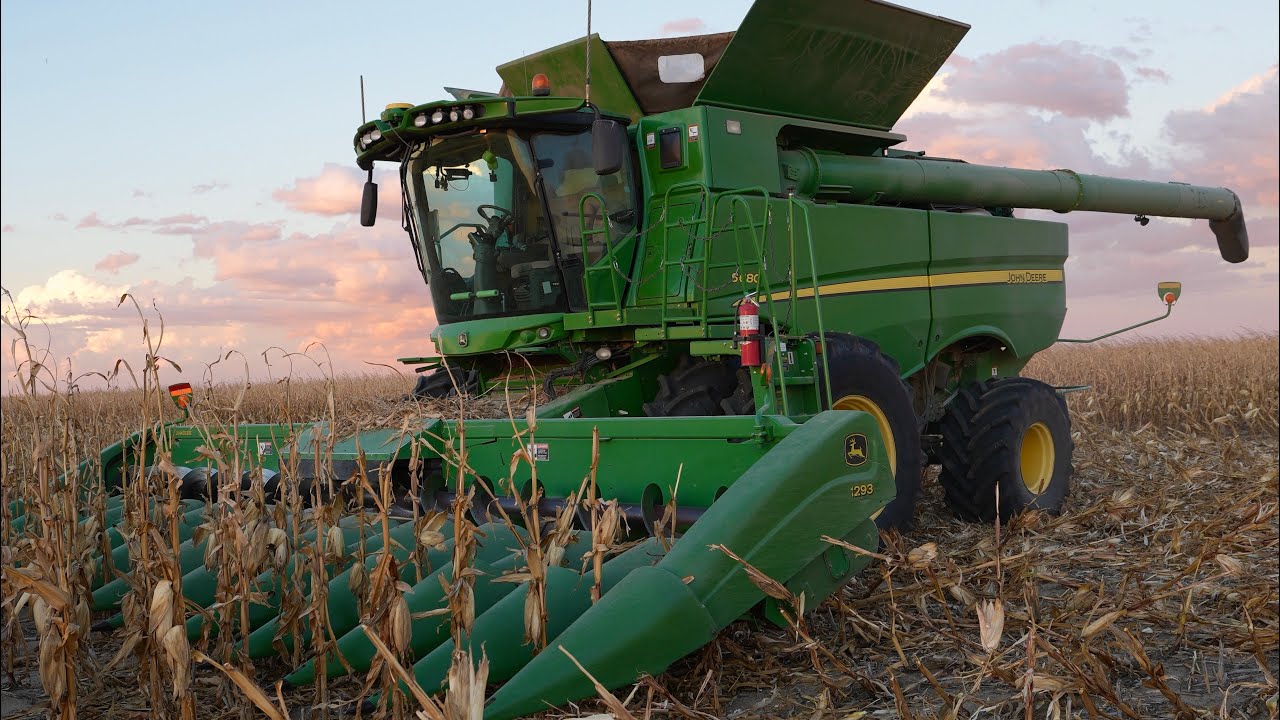 Colorado Corn Harvest Begins