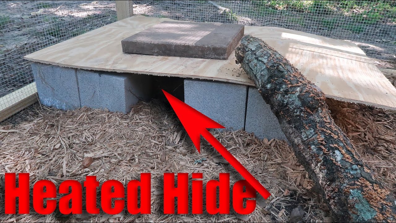 Setting Up Your *NEW* Outdoor Enclosure For Tegus
