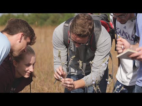Explore KU's Field Station Through Hands On Experience