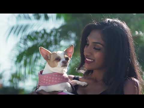 5 most beautiful Miss Oregon USA 2023 candidates – CONAN Daily