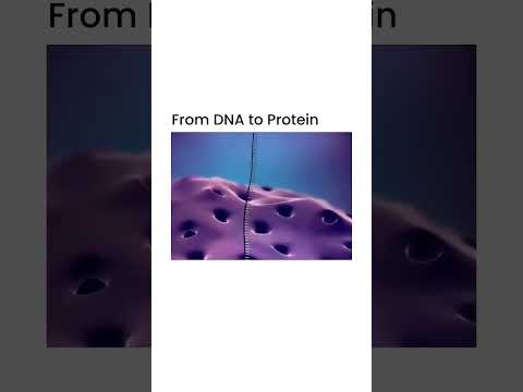 Central dogma of molecular biology #nucleicacids #sybsc #transcription #translation #replication
