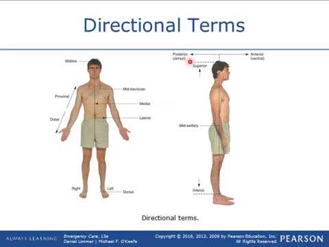 Ch 5 Medical Terminology