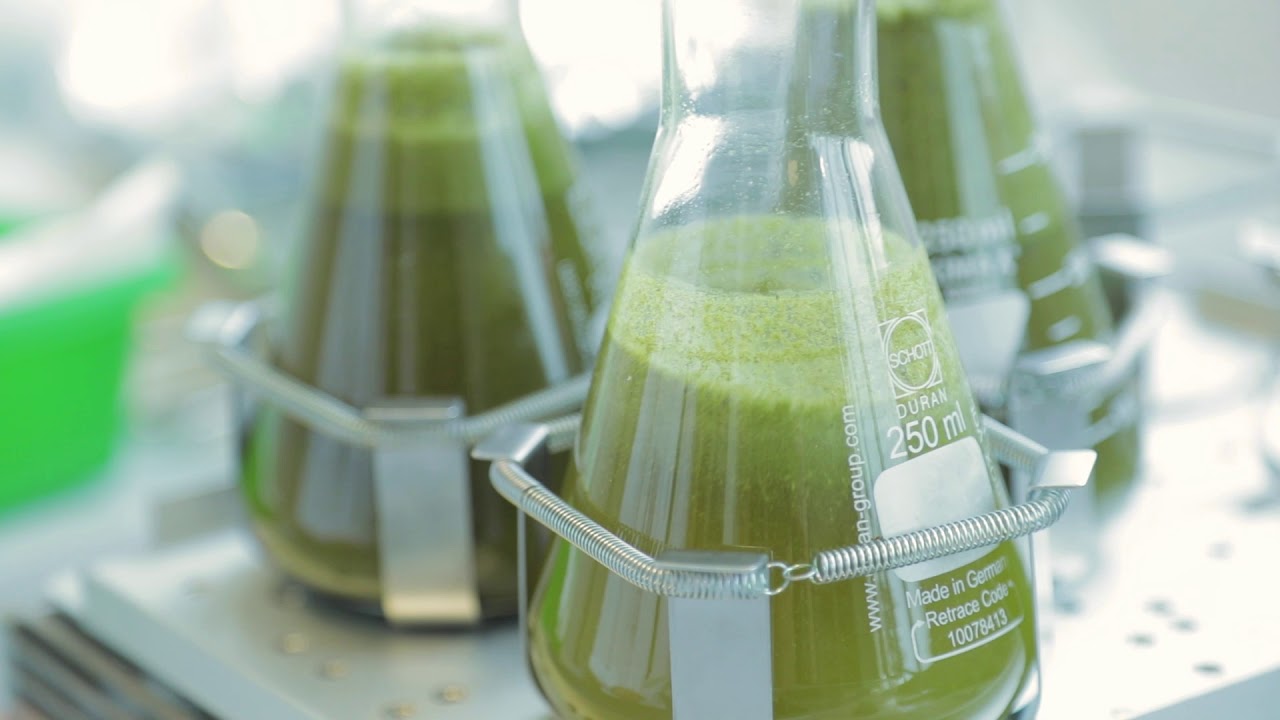 SICIT Group: corporate video (ENG)