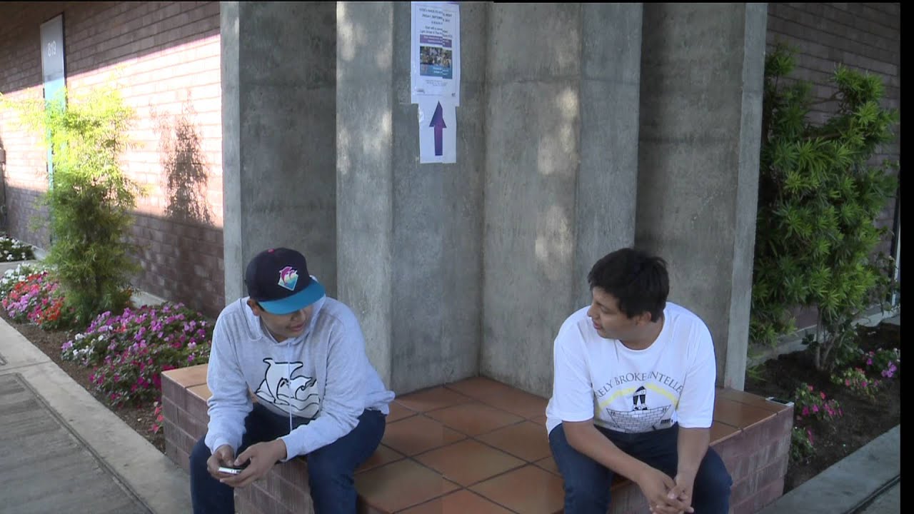 pink dolphin clone video (ccoc)