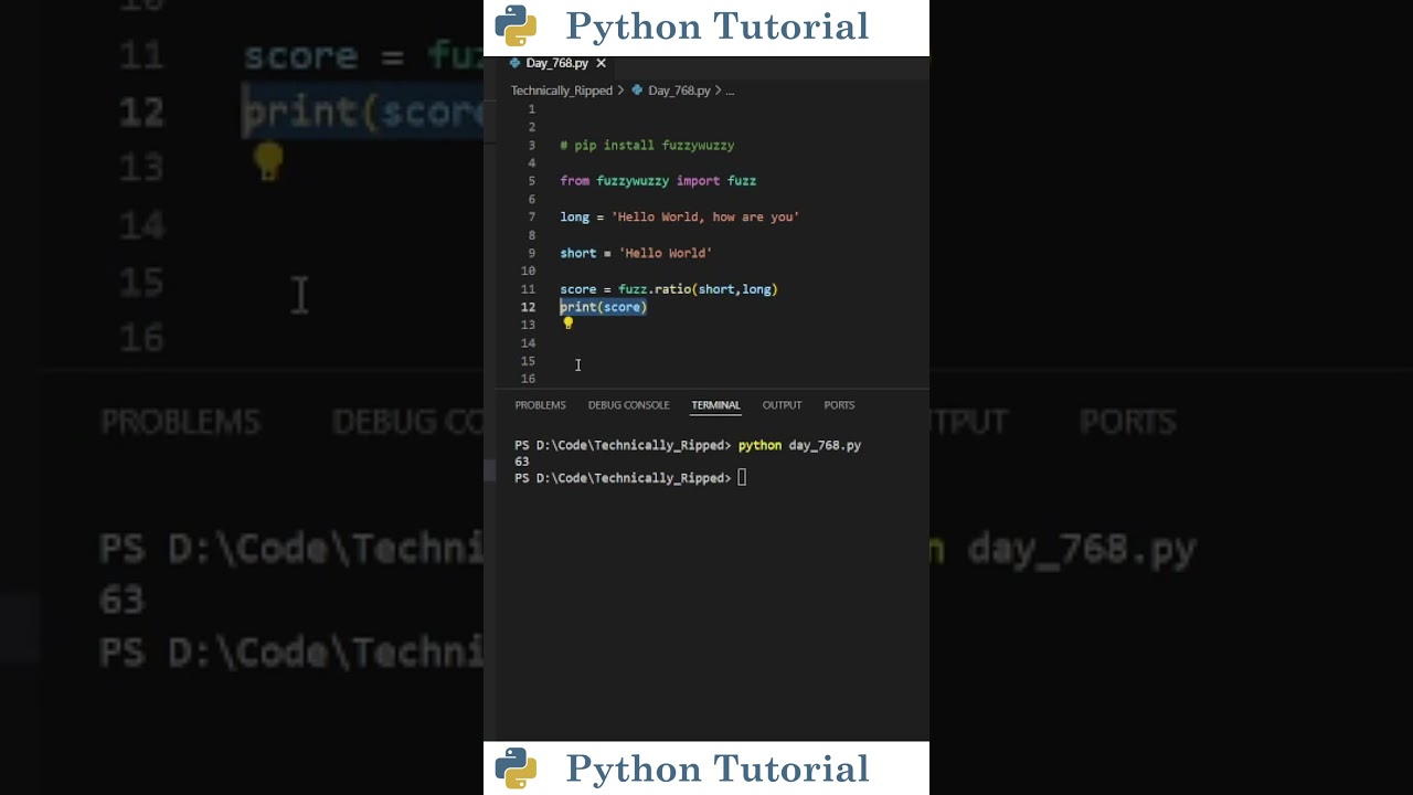 Partial Fuzzy Match In Python | Python Tutorial