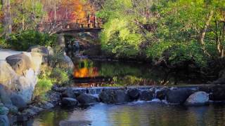 3 Best Places To See in Rockford, IL - Expert Recommendations