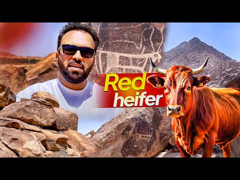 Samri Jadugar & Cow 🐮 Sacrifice of Bani Israel | Real Sinai Jabal e Toor in Saudi Arabia 🇸🇦