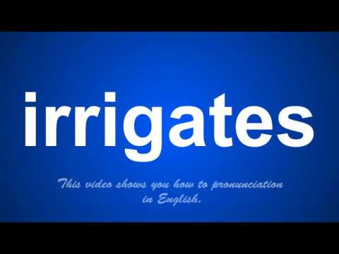 the correct pronunciation of irritable in English.