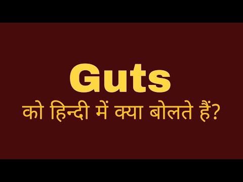 Guts ko hindi me kya bolte hai|Guts meaning in hindi |daily use words #topwordswithakb
