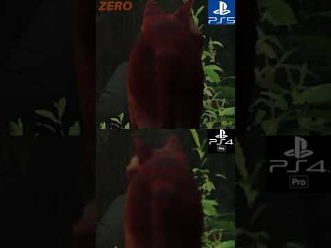 STRAY | PS4 Pro - PS5 | Graphics Comparison | 4K | #shorts