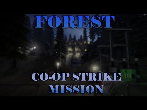Steam Community :: Video :: Co-op Strike Mission "Forest" Counter ...