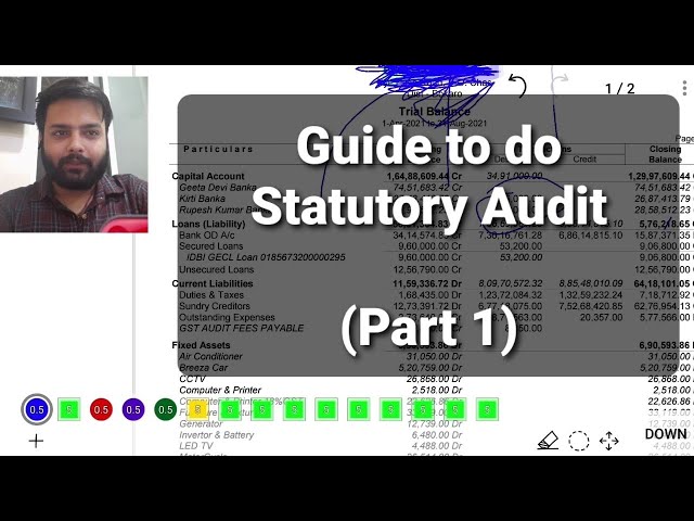 A Comprehensive Guide to Statutory Audit: Part 1 | Galaxy.ai | Galaxy.ai