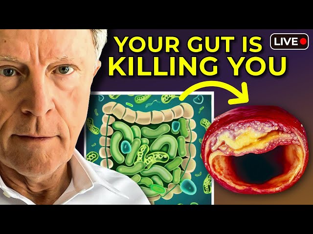 New Study Reveals Gut Bacteria's Role in Clogging Arteries and Its ...