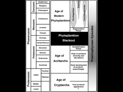 "How CO2 Starvation & Plate Tectonics Caused the Greatest Mass ...