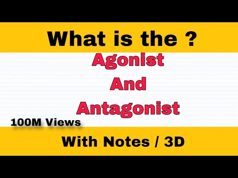 Difference Between Agonist And Antagonist | 3D Animation | #viral #education