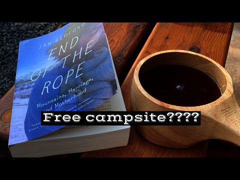 Let’s tour our free campsite on Vancouver Island #skoolie #adventure #camping #vanlife