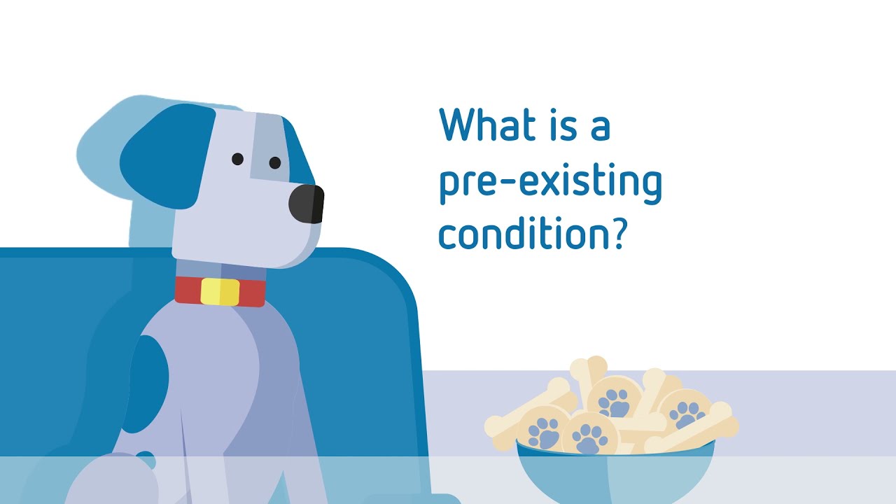 PetSure   What is a pre existing condition subbed