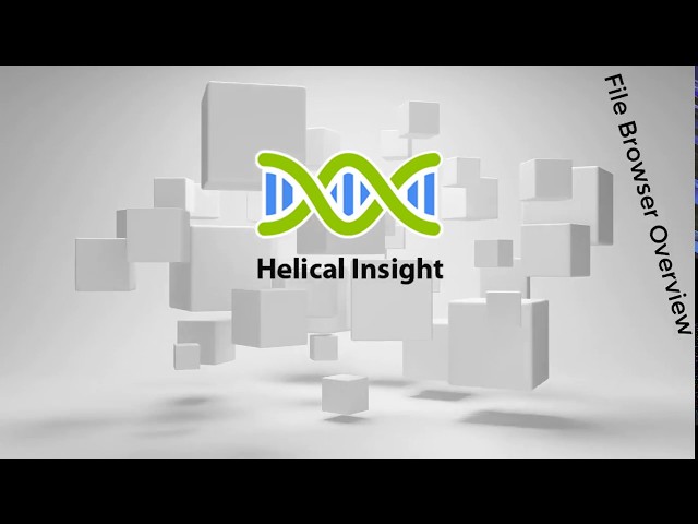 Helical Insight Pricing, Reviews, & Features in 2022
