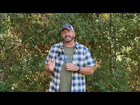 County Comm GP7 Full Review