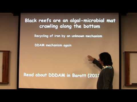 Forest Rohwer Crawling Holobionts Part 7 of 8