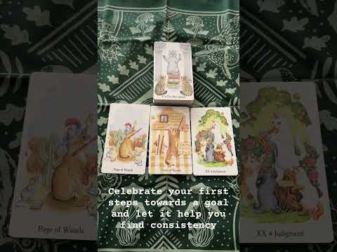 Cards ~ Page of Wands, 3 of Wands, Judgment- The Hierophant